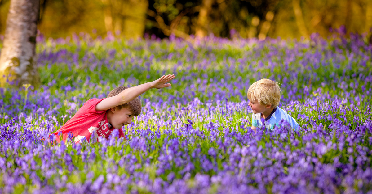 Spring has sprung at Wakehurst! - RH Uncovered