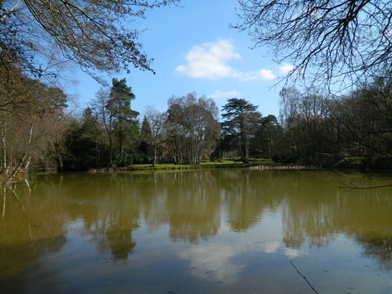 From the Tudors to the Tsars: The incredible history of Rowfant House ...