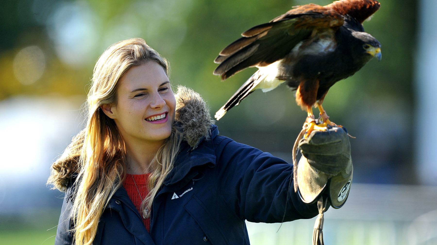 Autumn Show & Game Fair Returns To Ardingly - RH Uncovered