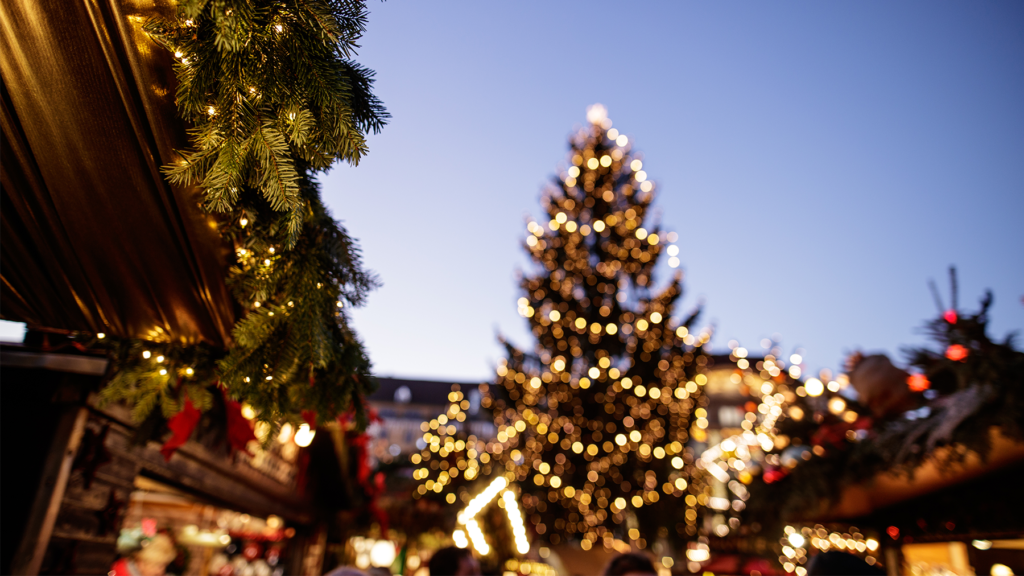 South of England Showground to Host Winter Fair 2020 - RH Uncovered