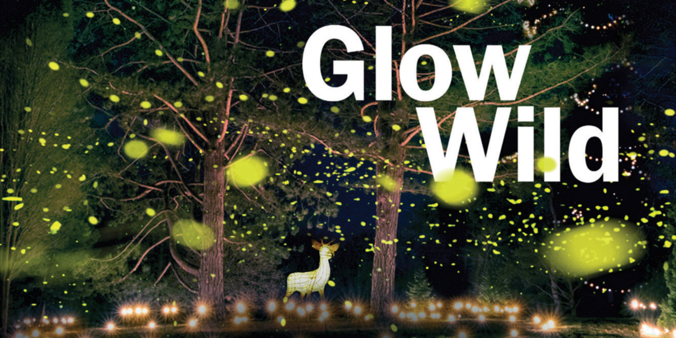 Glow Wild - RH Uncovered