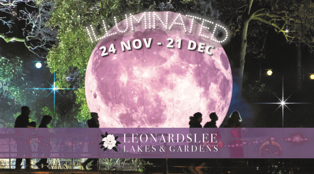 Leonardslee Illuminated 2023 - RH Uncovered