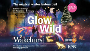 Glow Wild 2025 - RH Uncovered