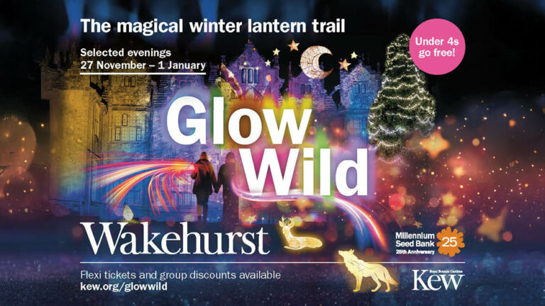 Glow Wild 2025 - RH Uncovered
